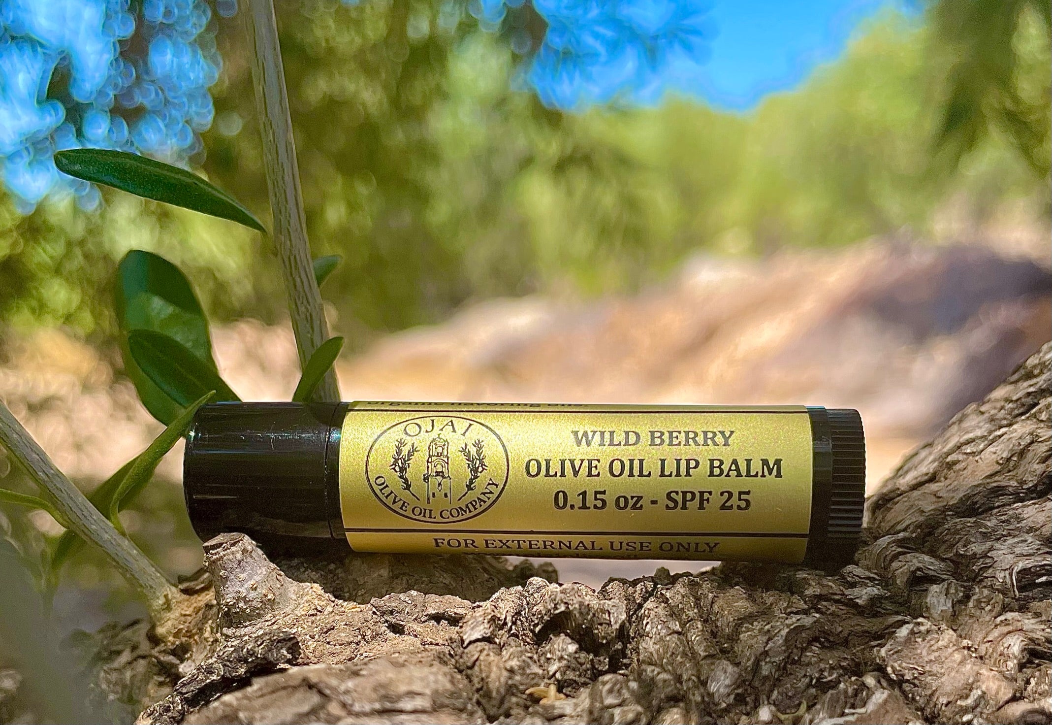 Wild Berry Olive Oil Lip Balm – Ojai Olive Oil